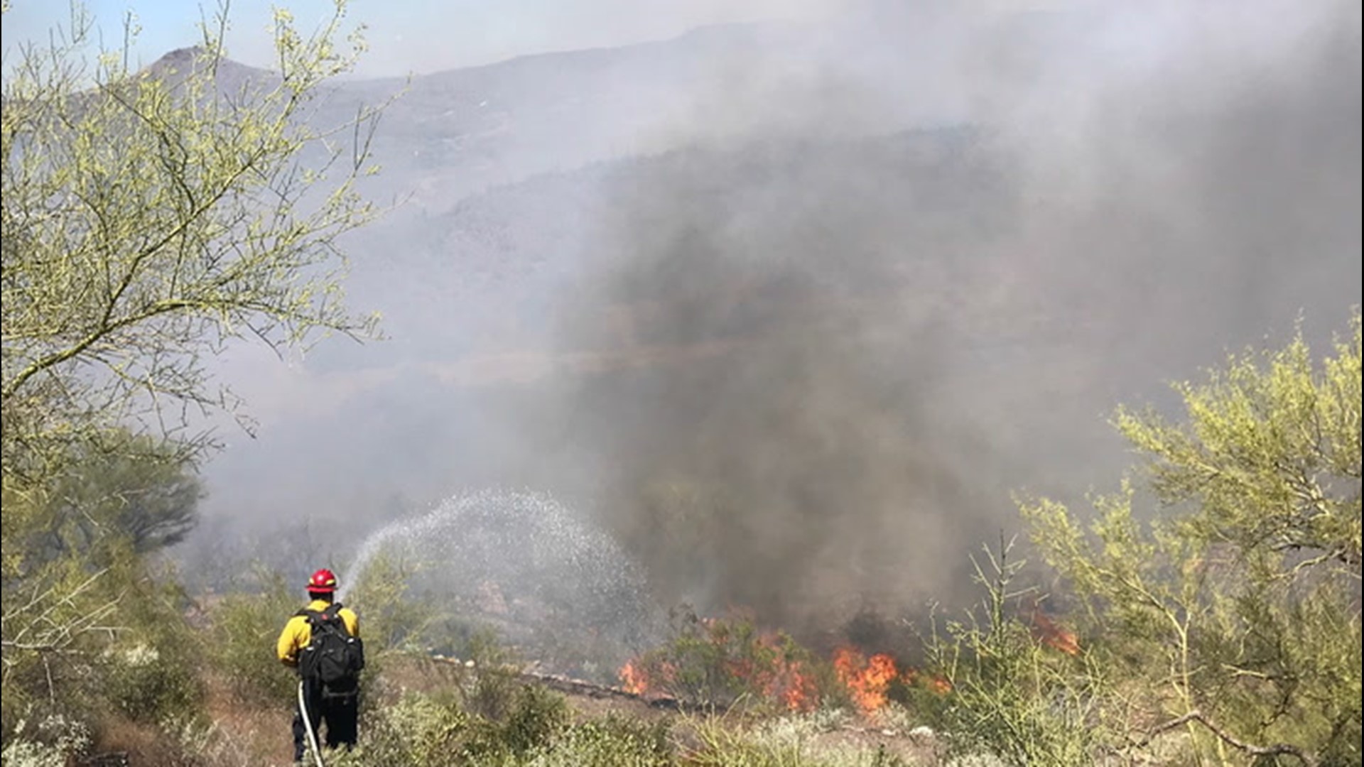 Firefighters contain 259-acre stage fire in Arizona | wgrz.com