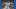 Cubs All-Star left-hander Matthew Boyd is scheduled for the first of ...