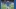 Detroit Lions player Terrion Arnold arrested in connection to Florida ...