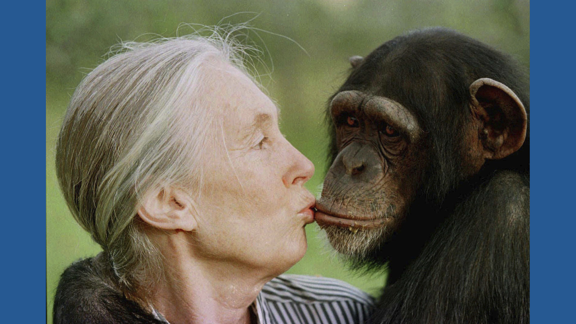 Jane Goodall, the celebrated primatologist and conservationist, has ...