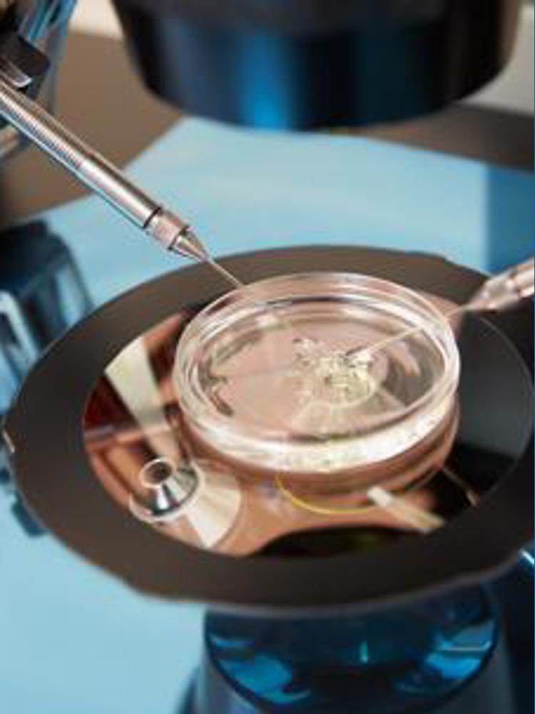 Florida couple will keep custody of child after IVF mix-up | wgrz.com