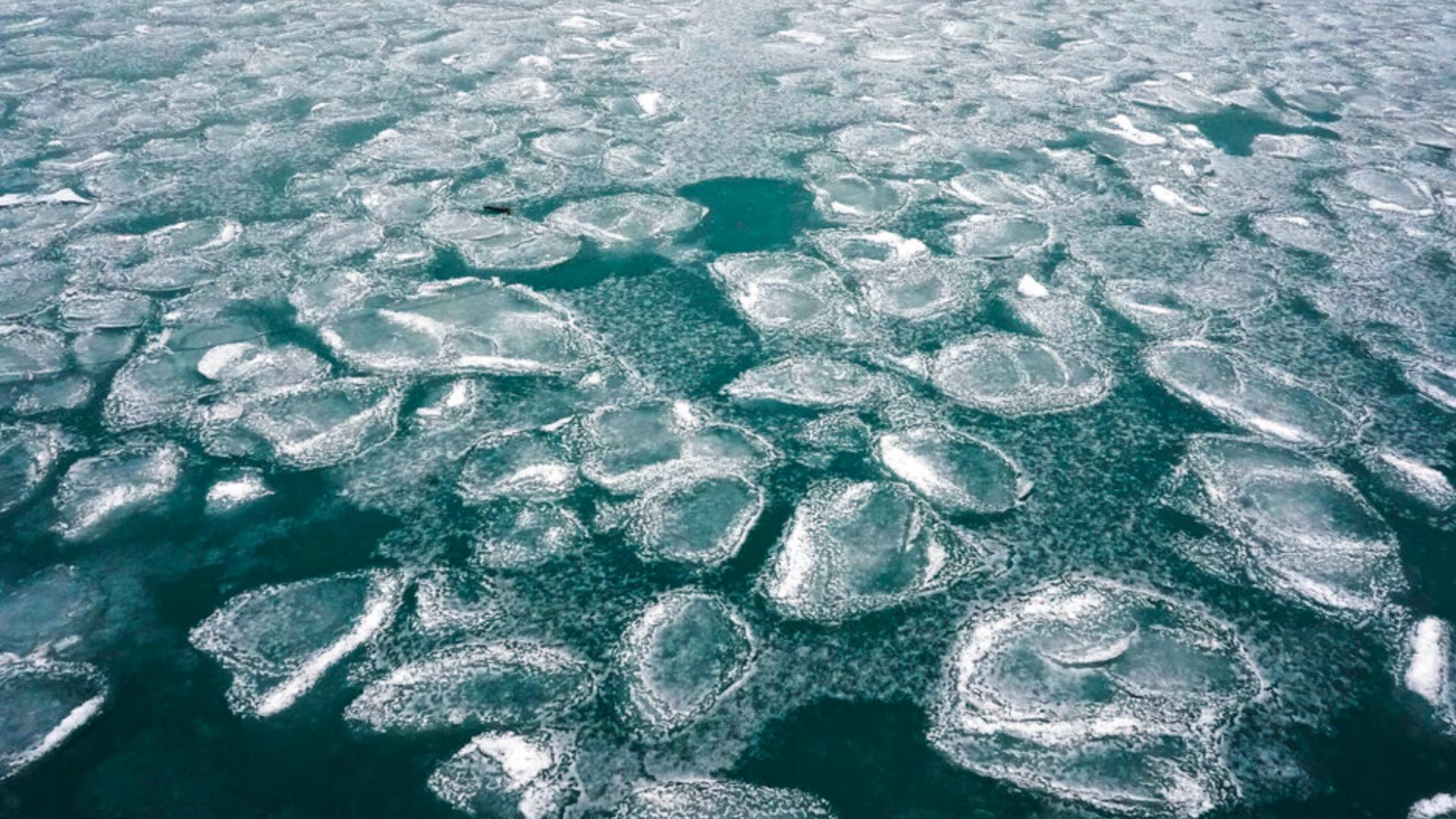 Buffalo Weather | Buffalo, New York | wgrz.com