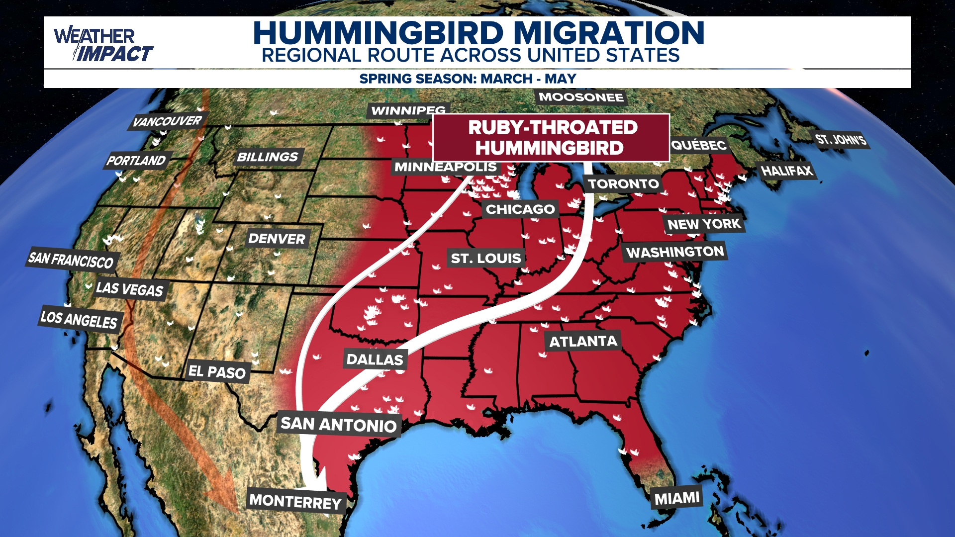 The ruby-throated hummingbird migration is almost here. Here's what to ...