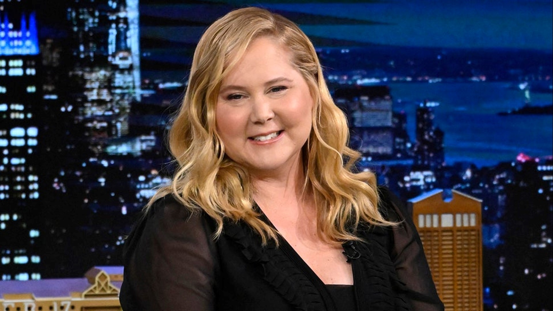 Amy Schumer Credits 'Puffier' Face Comments With Alerting Her to ...
