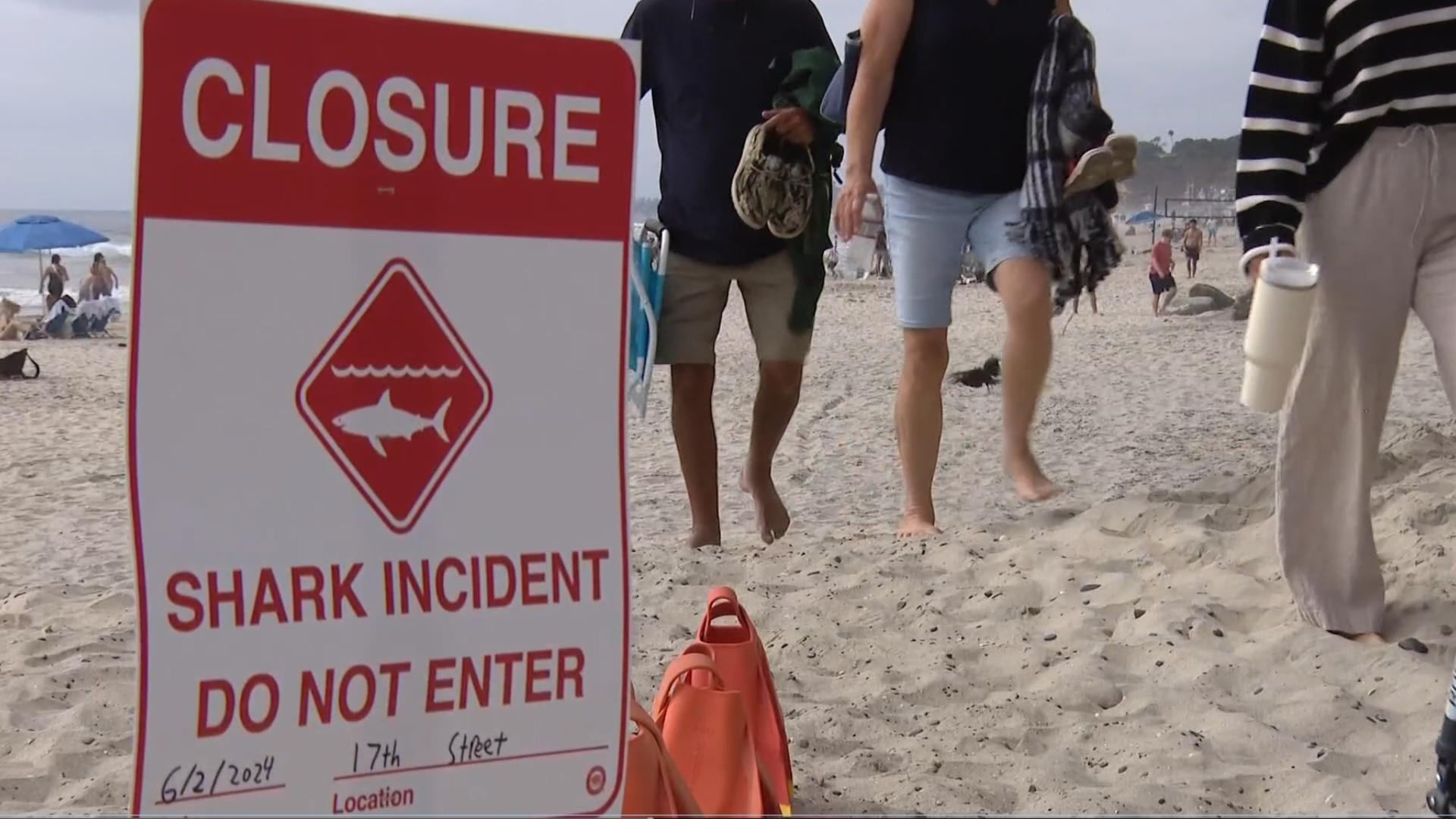 Shark attacks swimmer in Del Mar, city closes beach | wgrz.com