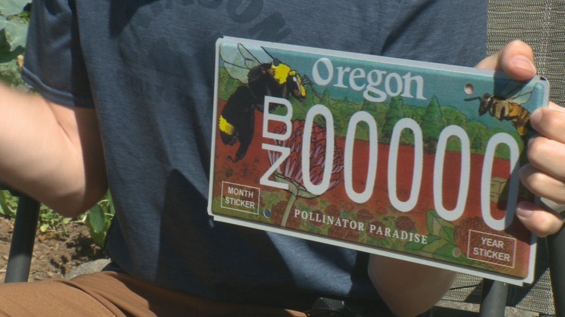 Estacada teen and bee expert designs Oregon's new license plate | wgrz.com