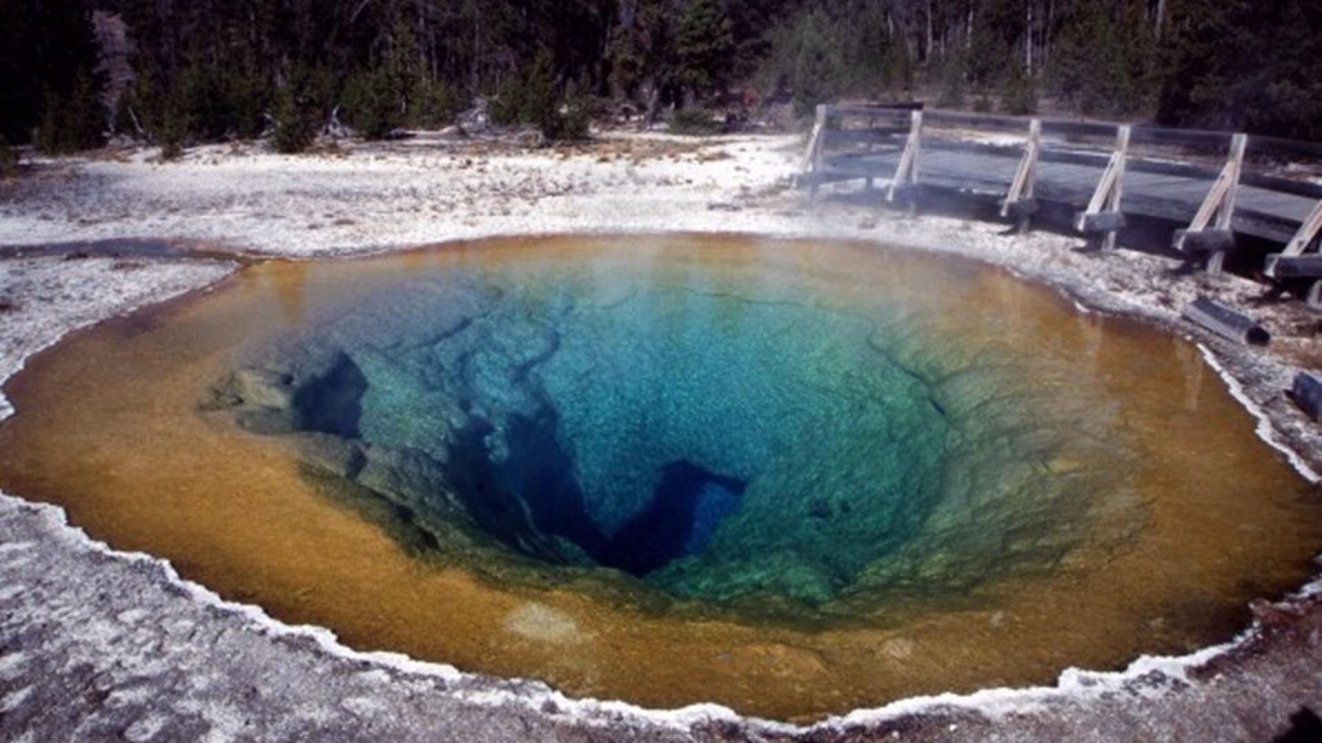 Man who fell into Yellowstone hot spring in critical condition | wgrz.com