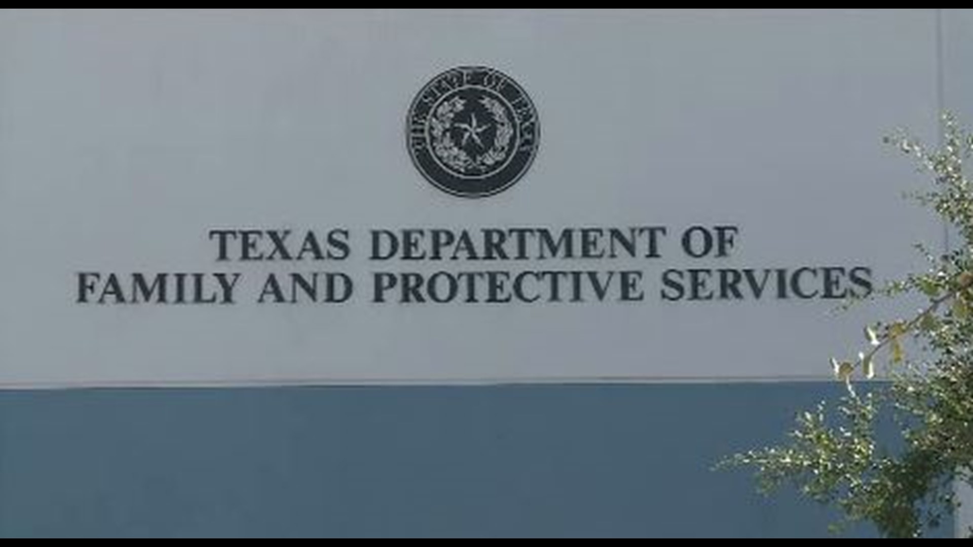 Report gives recommendations for Texas foster care system | wgrz.com
