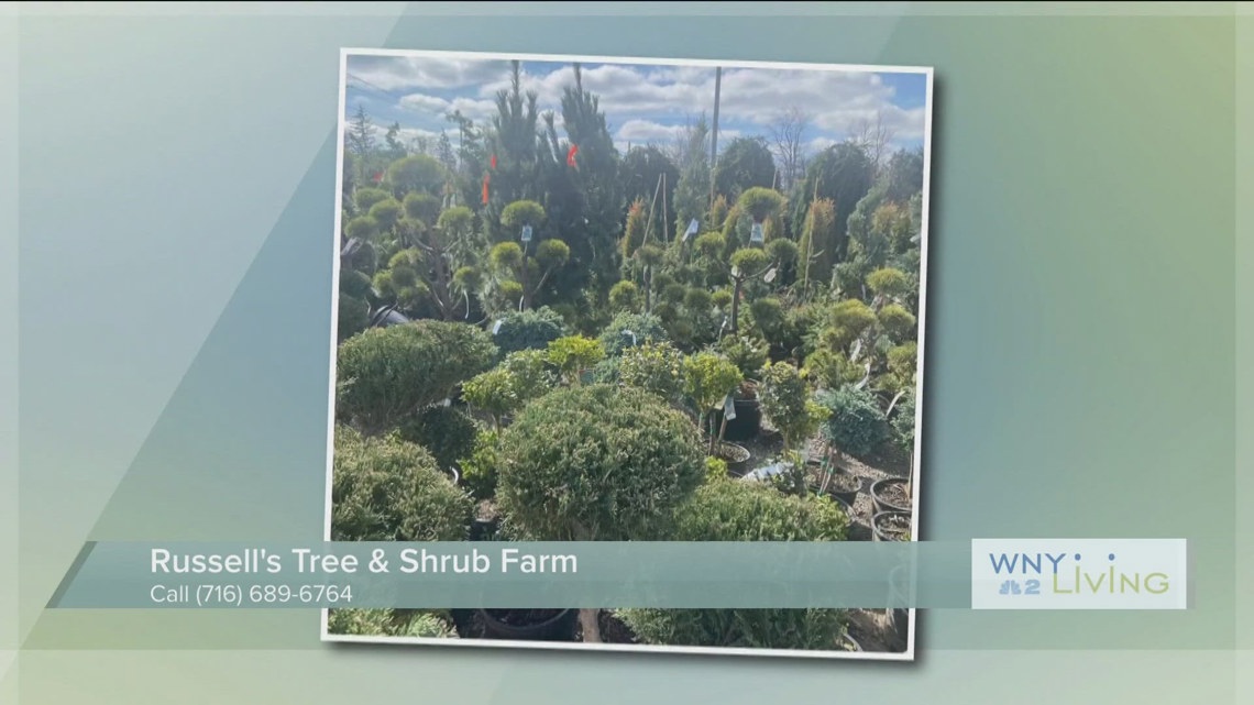 Sat. May 25th - Russell's Tree & Shrub Farm | wgrz.com