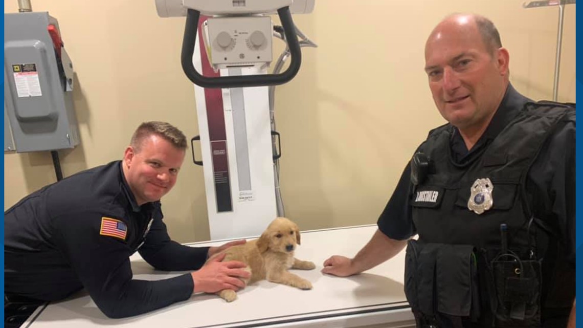 Eden Police officers credited with saving puppy from choking | wgrz.com