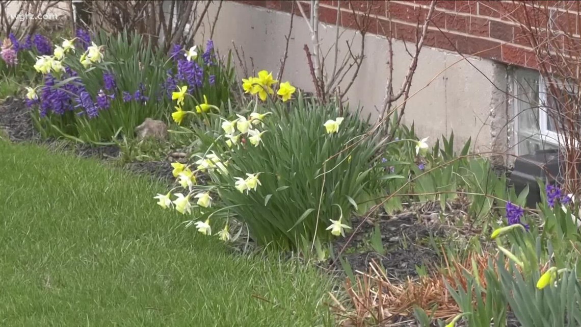 2 The Garden: Bringing spring inside your home | wgrz.com
