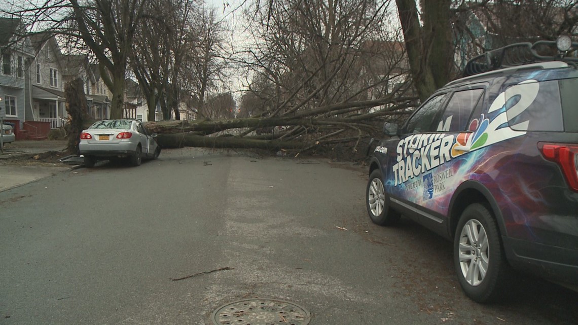 PHOTOS: Flood waters, fallen trees cause Western New York damage | wgrz.com