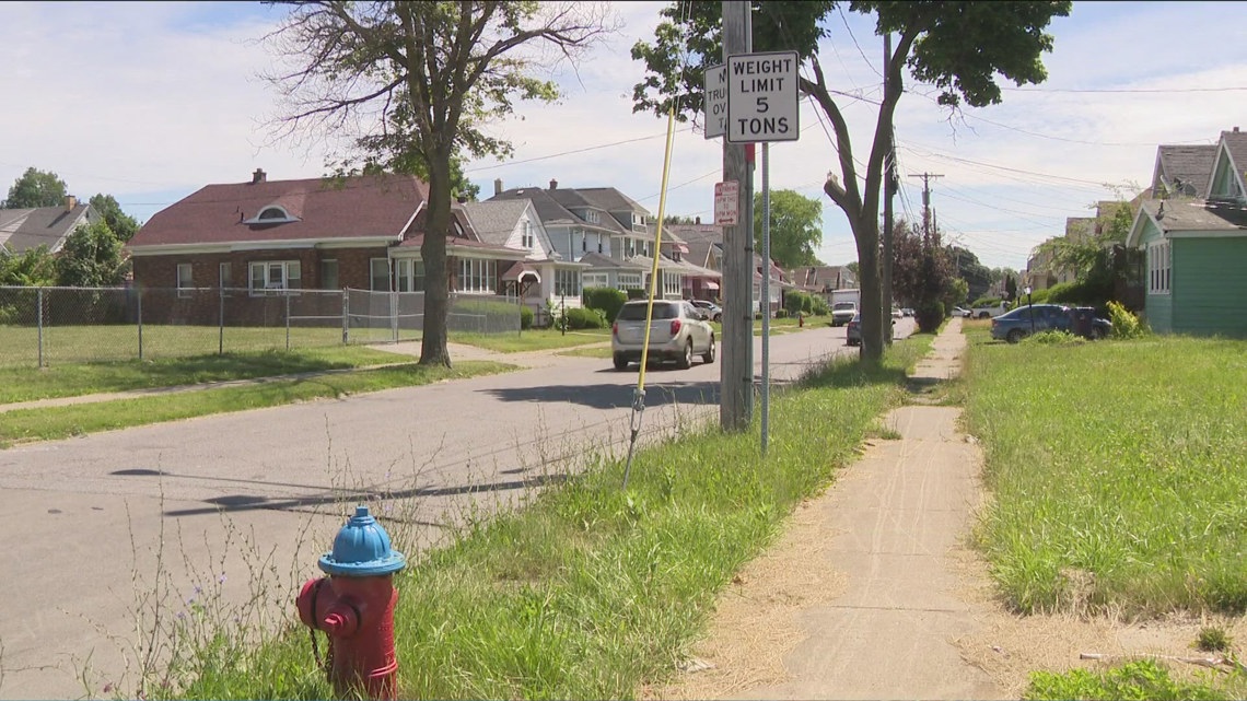 Buffalo teen pleads guilty to attempted murder, assault in shooting ...