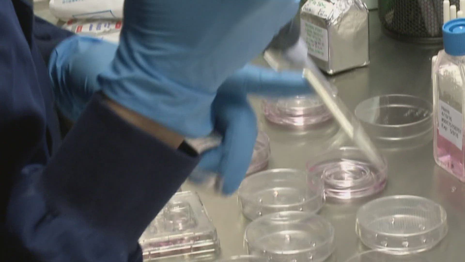 Forest takes big step to ensuring Premier League survival by drubbing ...