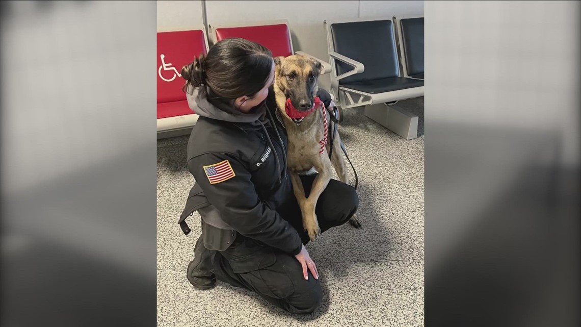 NFTA's newest K-9 addition | wgrz.com