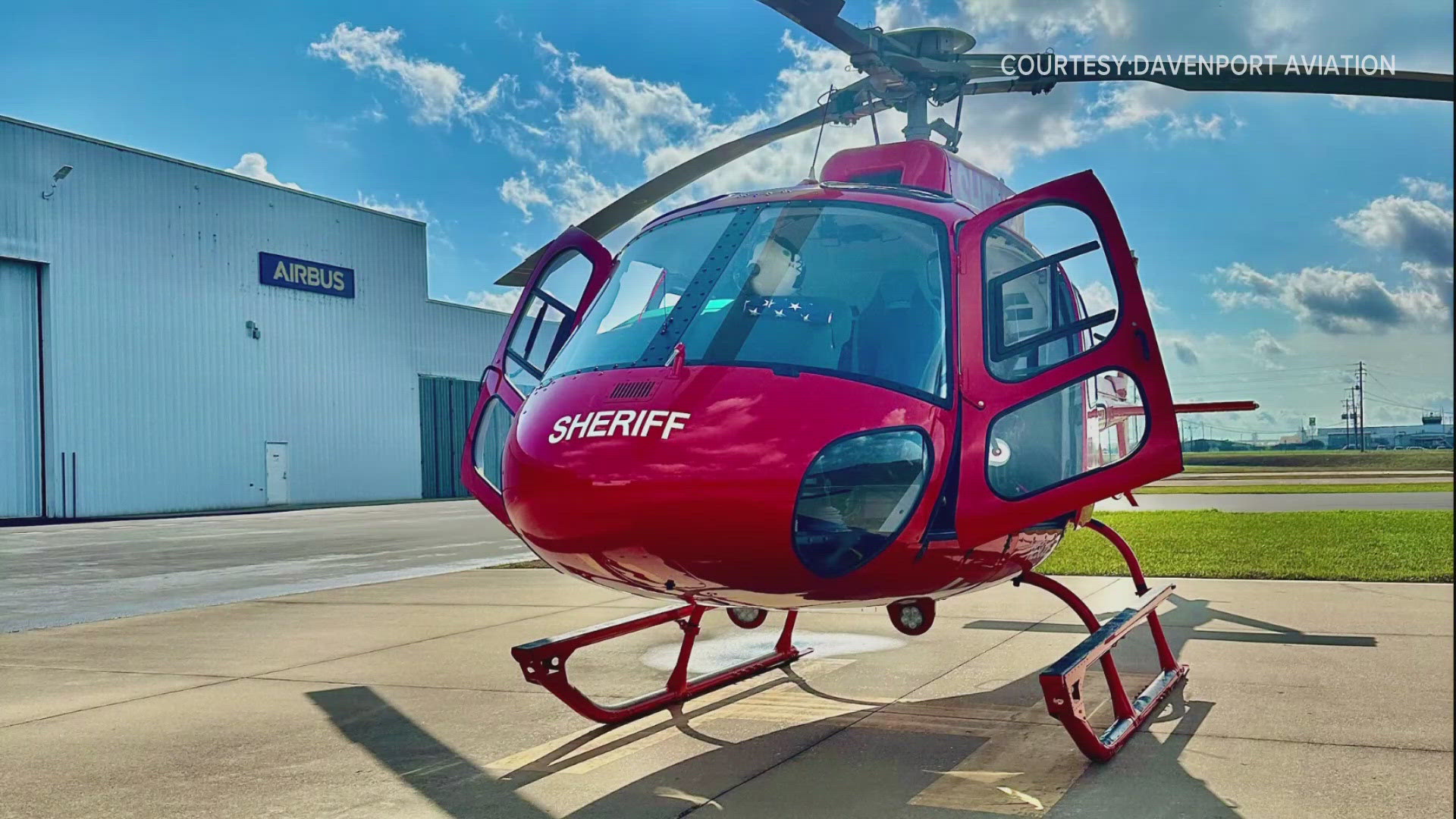 What are snow fleas? Why tiny black bugs show up on snowy days | wgrz.com