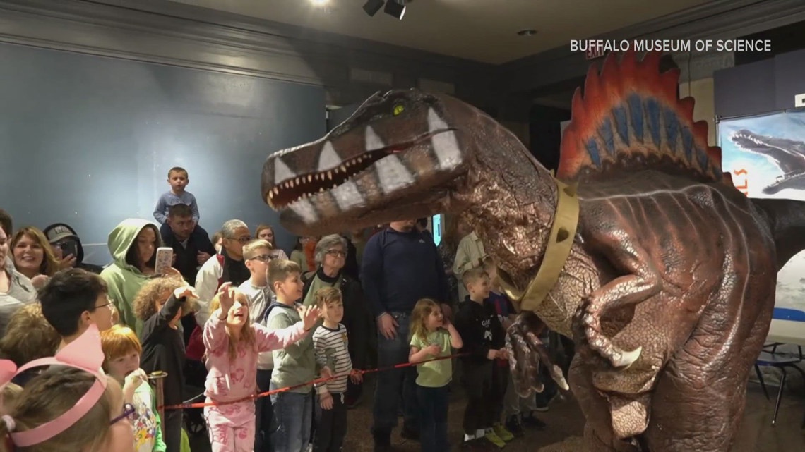 Dino Fest draws record crowds to Buffalo Museum of Science | wgrz.com