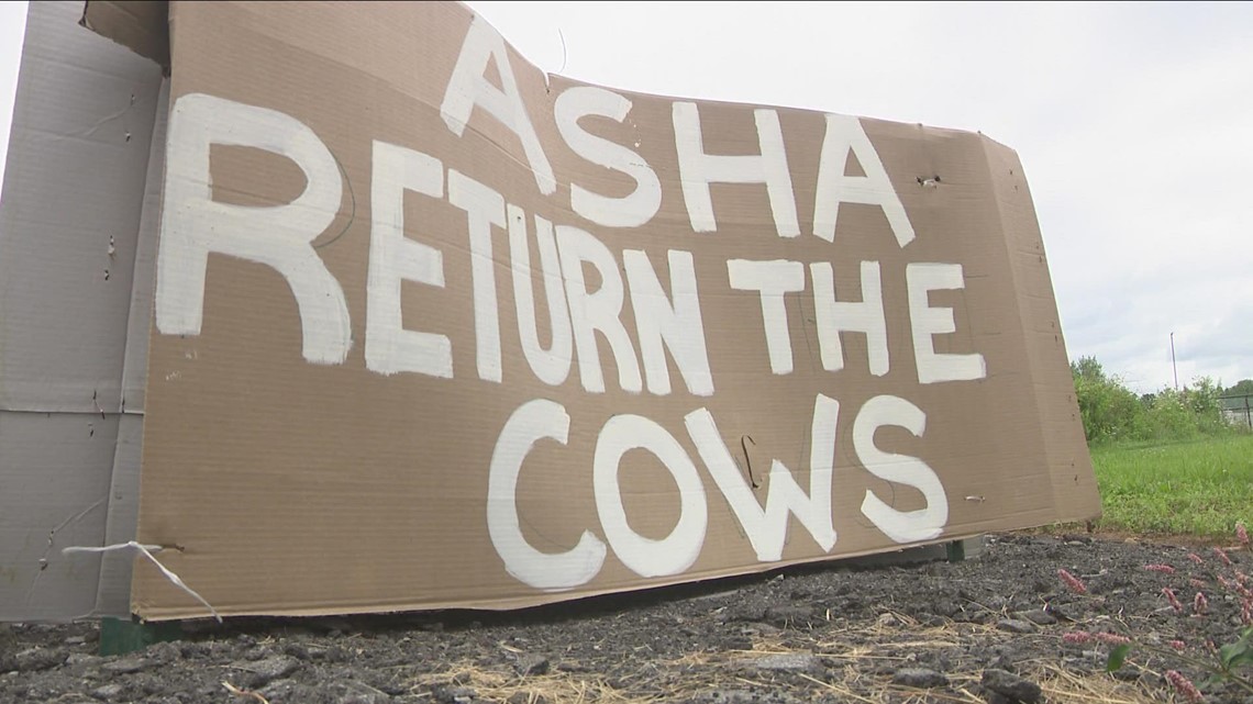 Asha's Farm Sanctuary owner arrested for grand larceny of cows ...