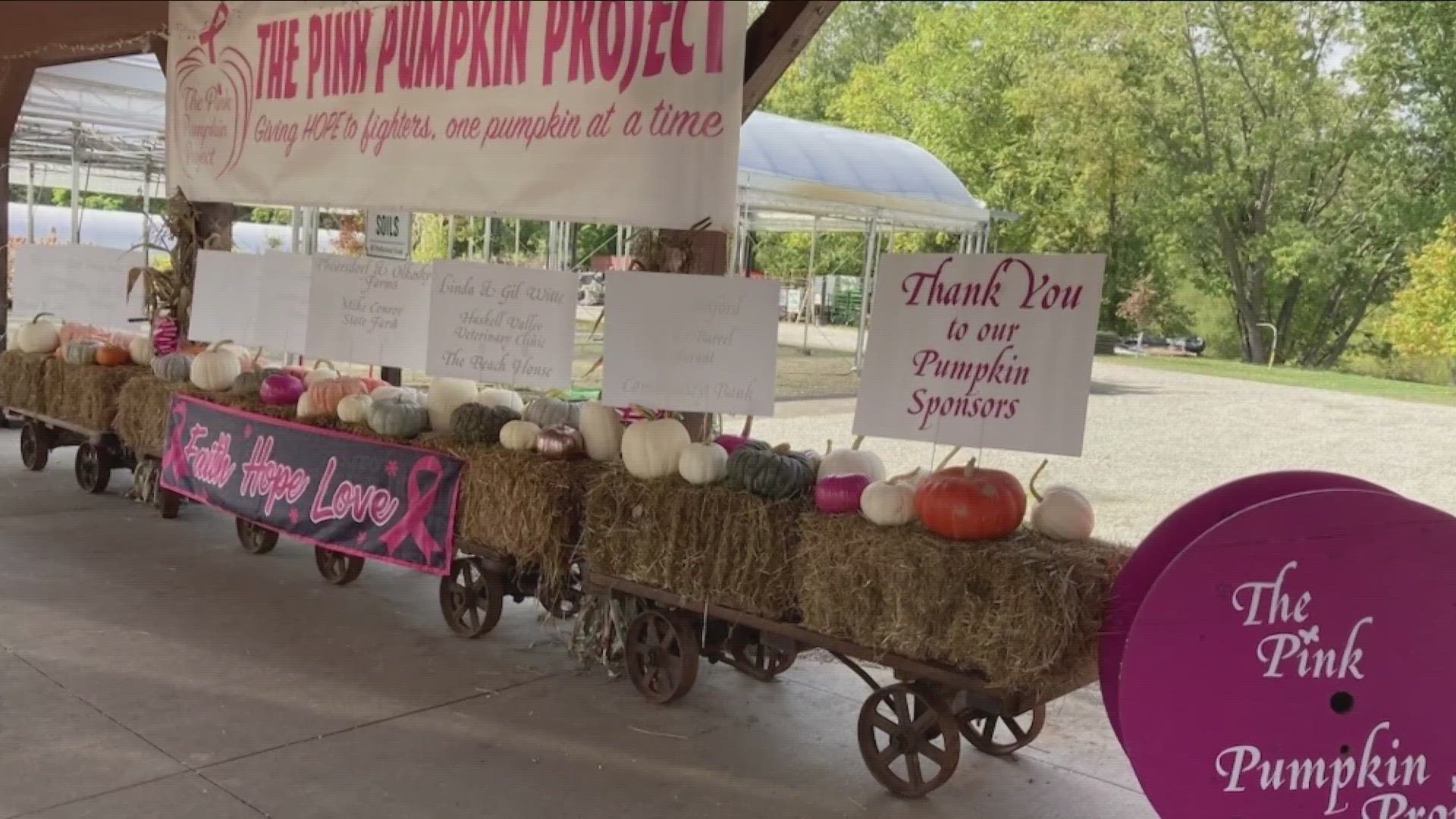 Most Buffalo Story of the Day: Pink Pumpkin Project | wgrz.com