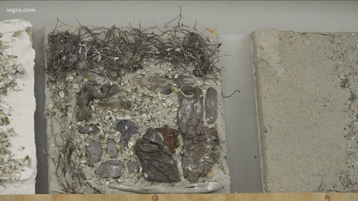 Artist works with UB students on multimedia artwork with ties to Lake ...