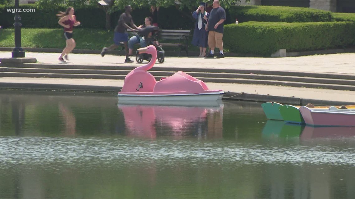 Flamingo paddle boats bring a pop of pink to Hoyt Lake | wgrz.com
