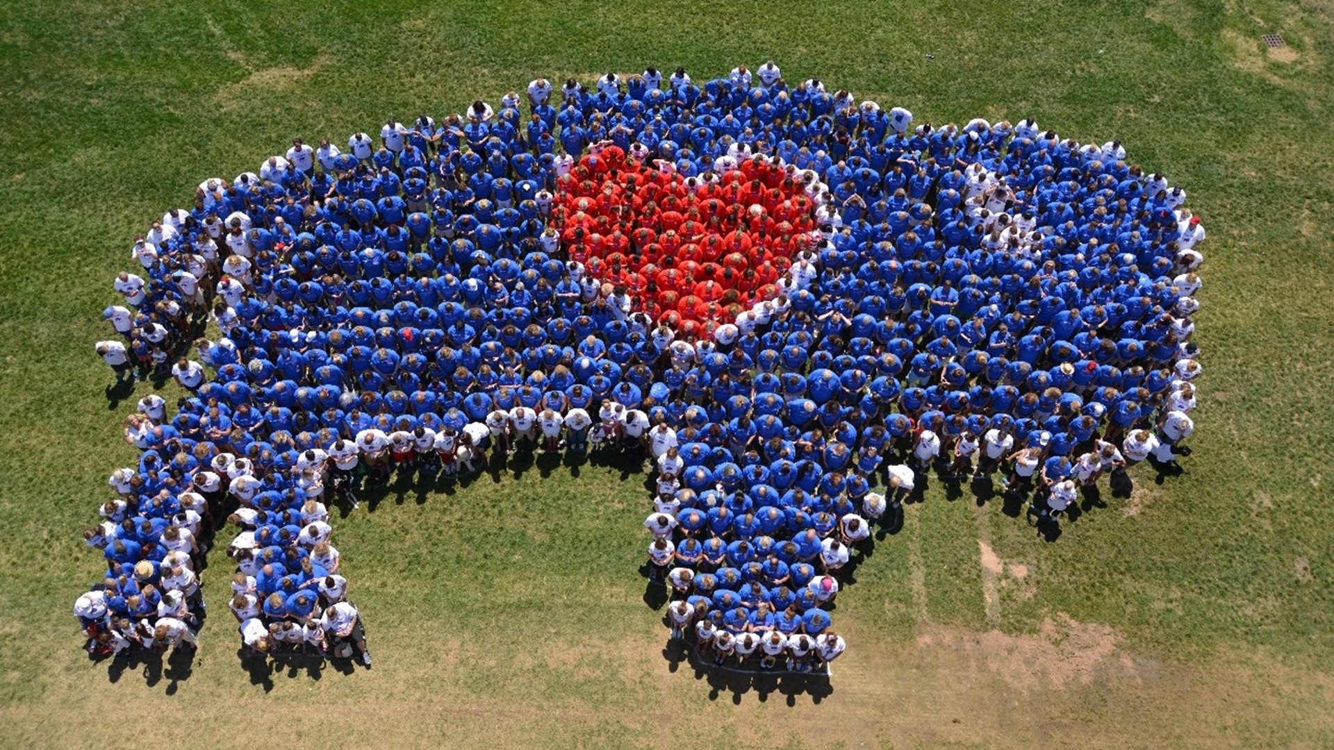 A pandemic pivot helped BuffaLove Apparel double its business in 2020 ...