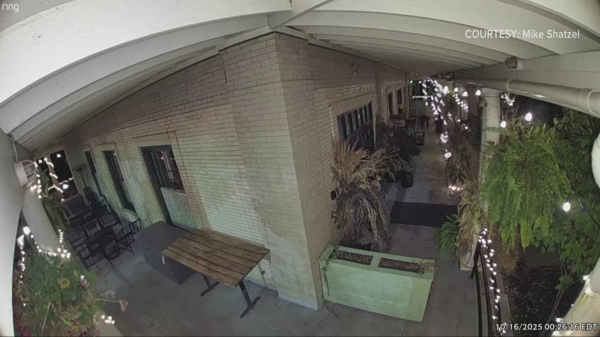 The Terrace at Delaware Park vandalized | wgrz.com