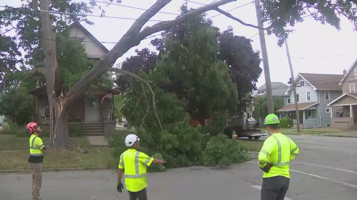 Strong winds damage parts of South Buffalo | wgrz.com