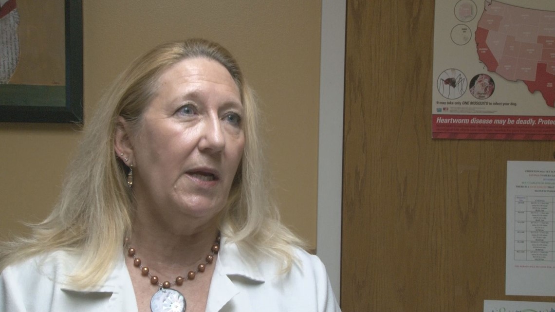 Local vet describes the possible cons of ear-clipping | wgrz.com