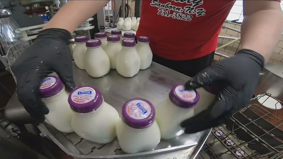 Alexandra Rios - Journalist Profile - Intelligent Relations