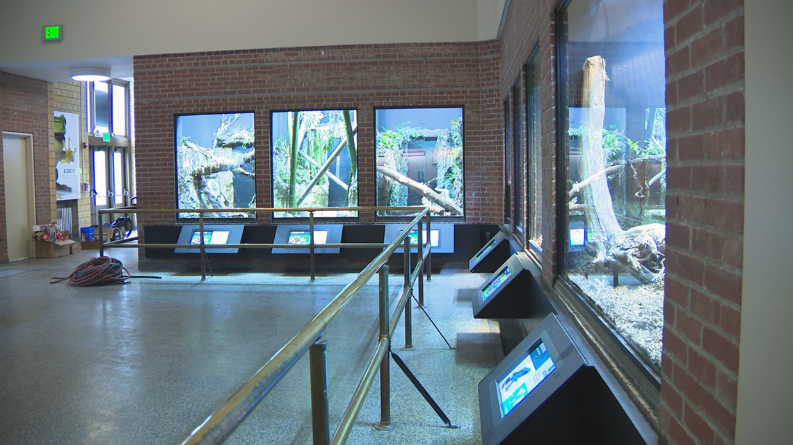 New amphibian and reptile exhibit to open at Buffalo Zoo this week ...