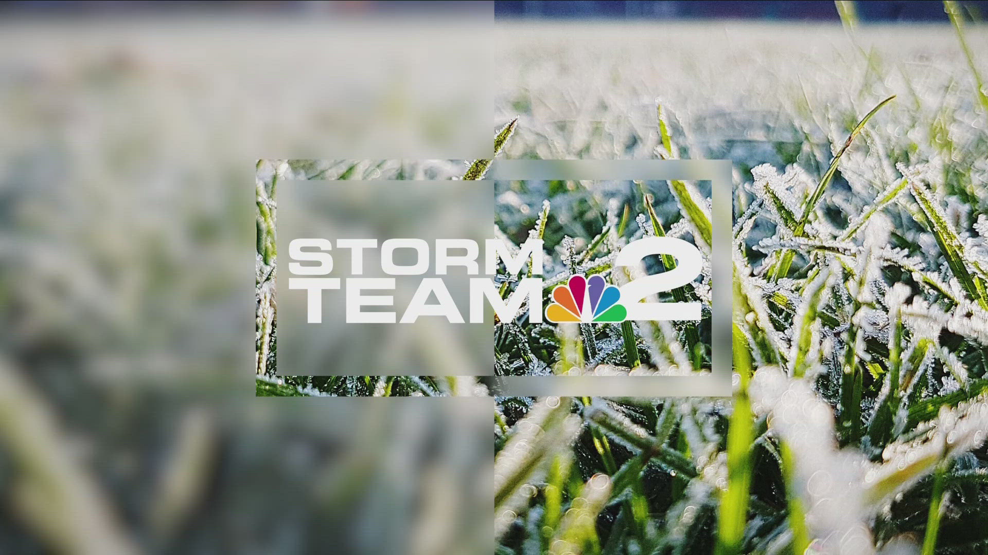 Most Buffalo Buffalo New York Wgrz