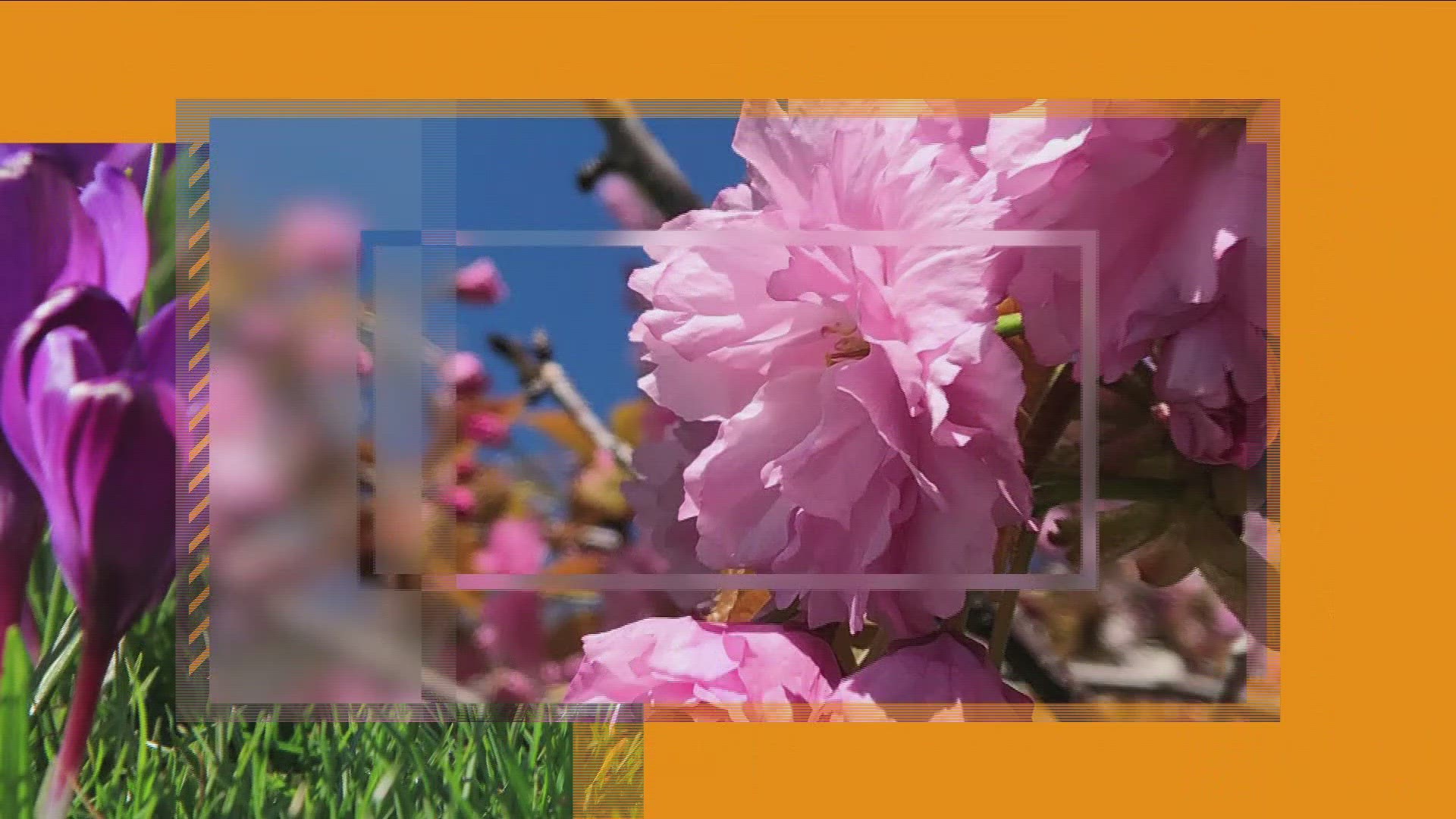 Storm Team 2 weather forecast with Jennifer Stanonis | wgrz.com