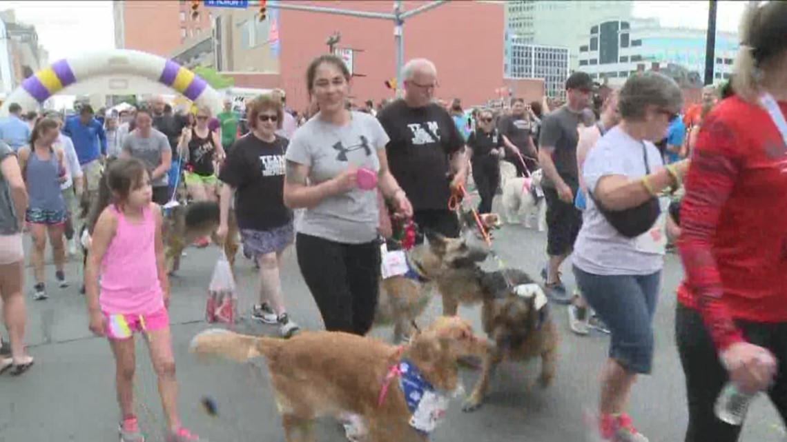 "Ruffalo Stampede" fun run and walk | wgrz.com