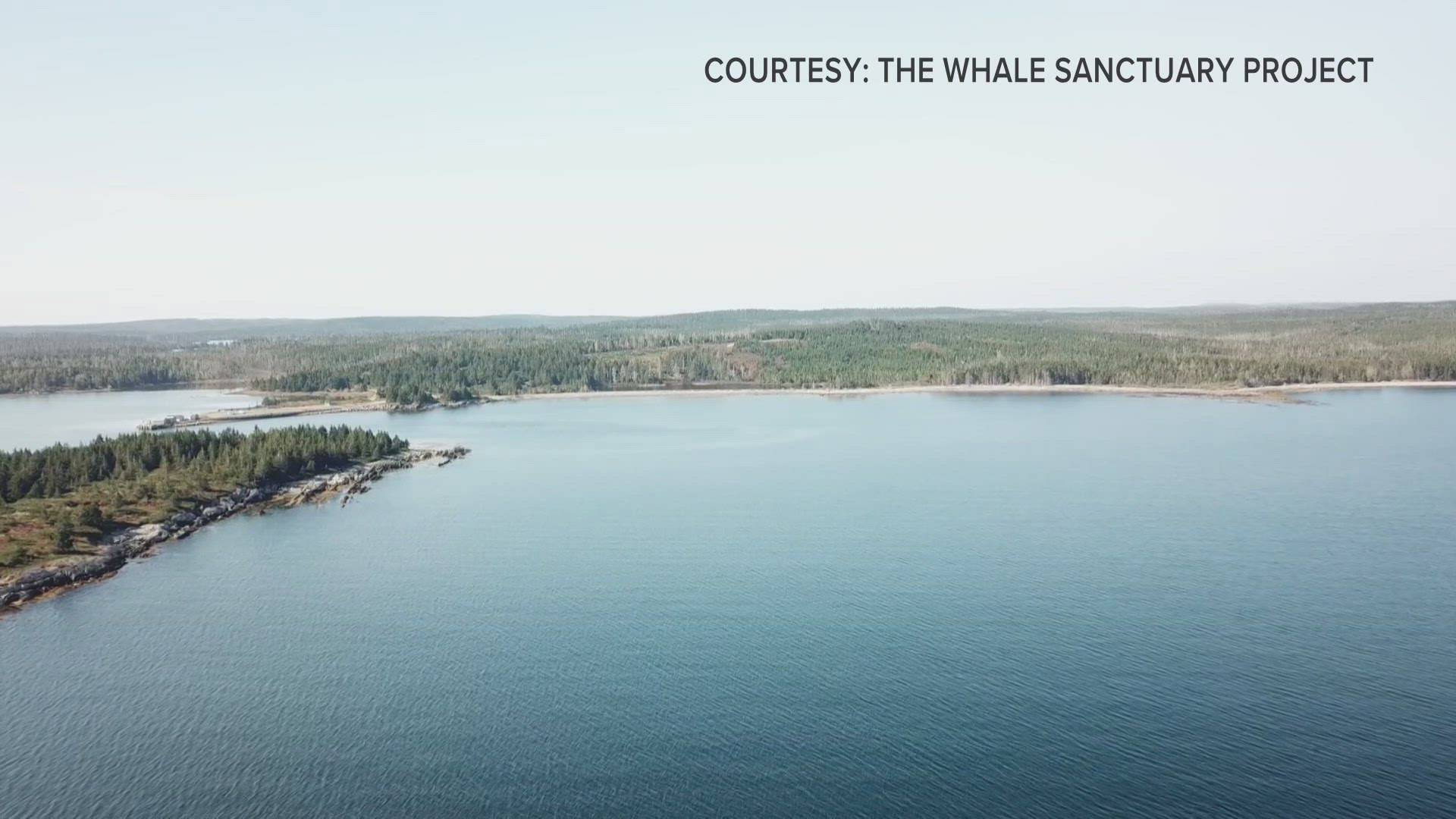 Niagara Falls Marineland seeks new homes for marine animals | wgrz.com