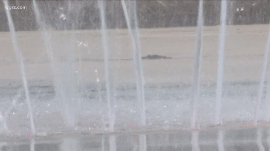 Jamestown announces plans to build 2 new splash pads | wgrz.com