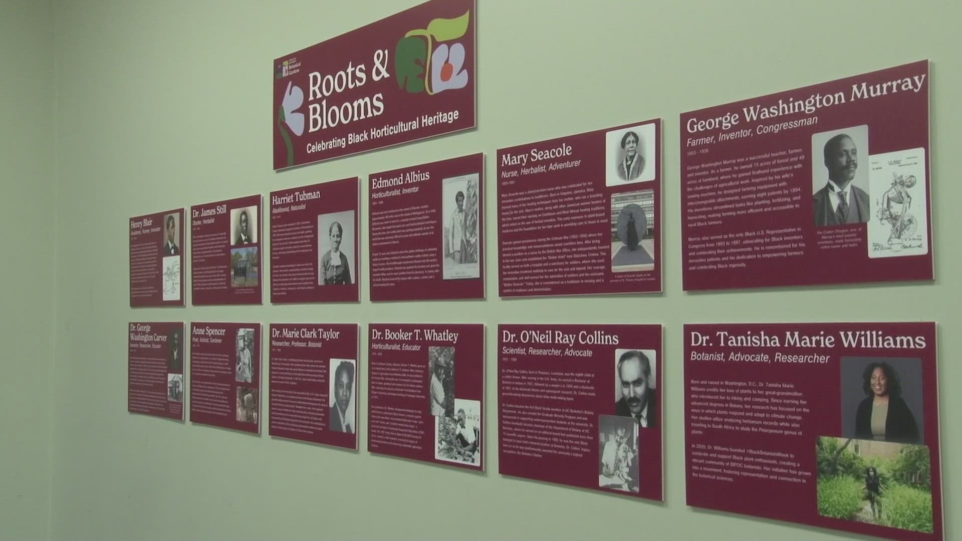 New Exhibit at the Botanical Gardens Celebrates Black History Month ...