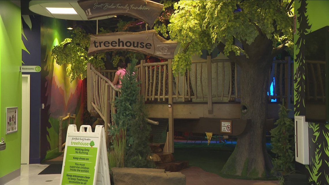 Treehouse exhibit reopens at Explore & More Museum | wgrz.com