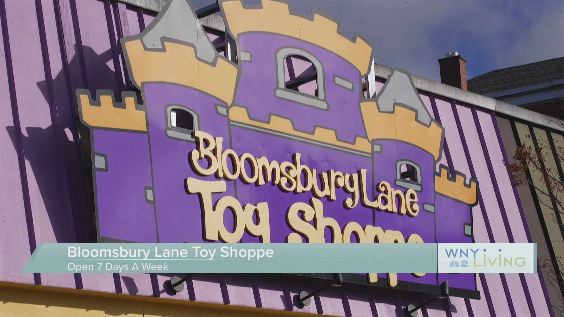 Bloomsbury Lane Toy Shoppe | wgrz.com