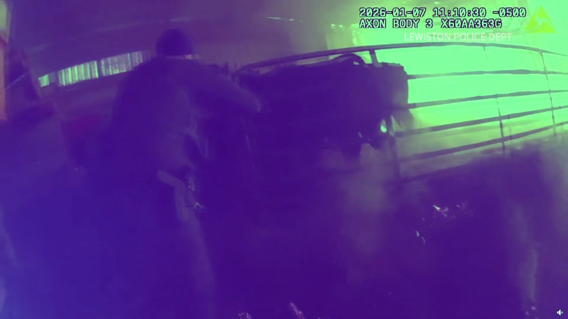 Police release bodycam video of officers rescuing cows from Lewiston ...