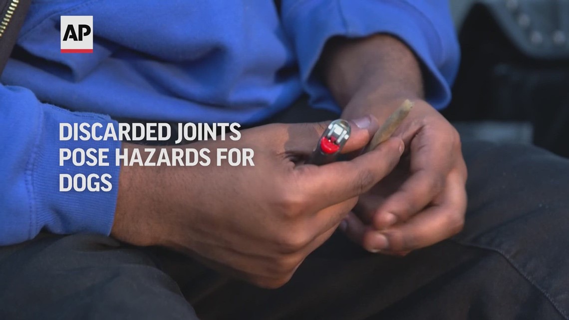 Scooby doobie don't: Discarded joints pose hazards for dogs | wgrz.com