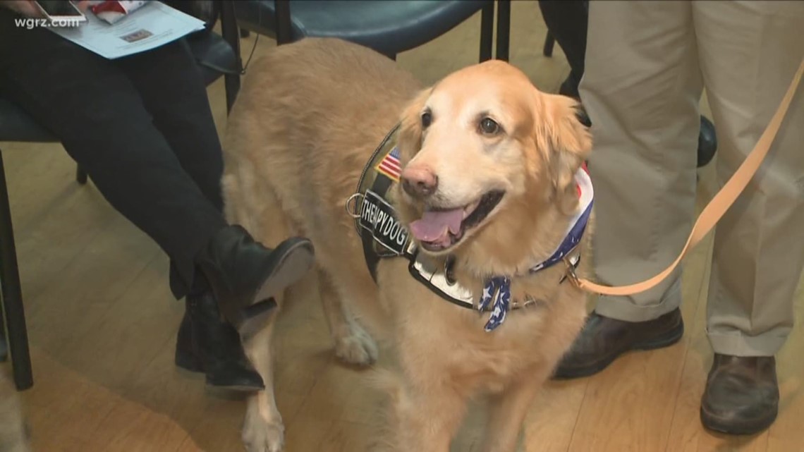 Therapy dog receives humanitarian award at veterans hospital | wgrz.com