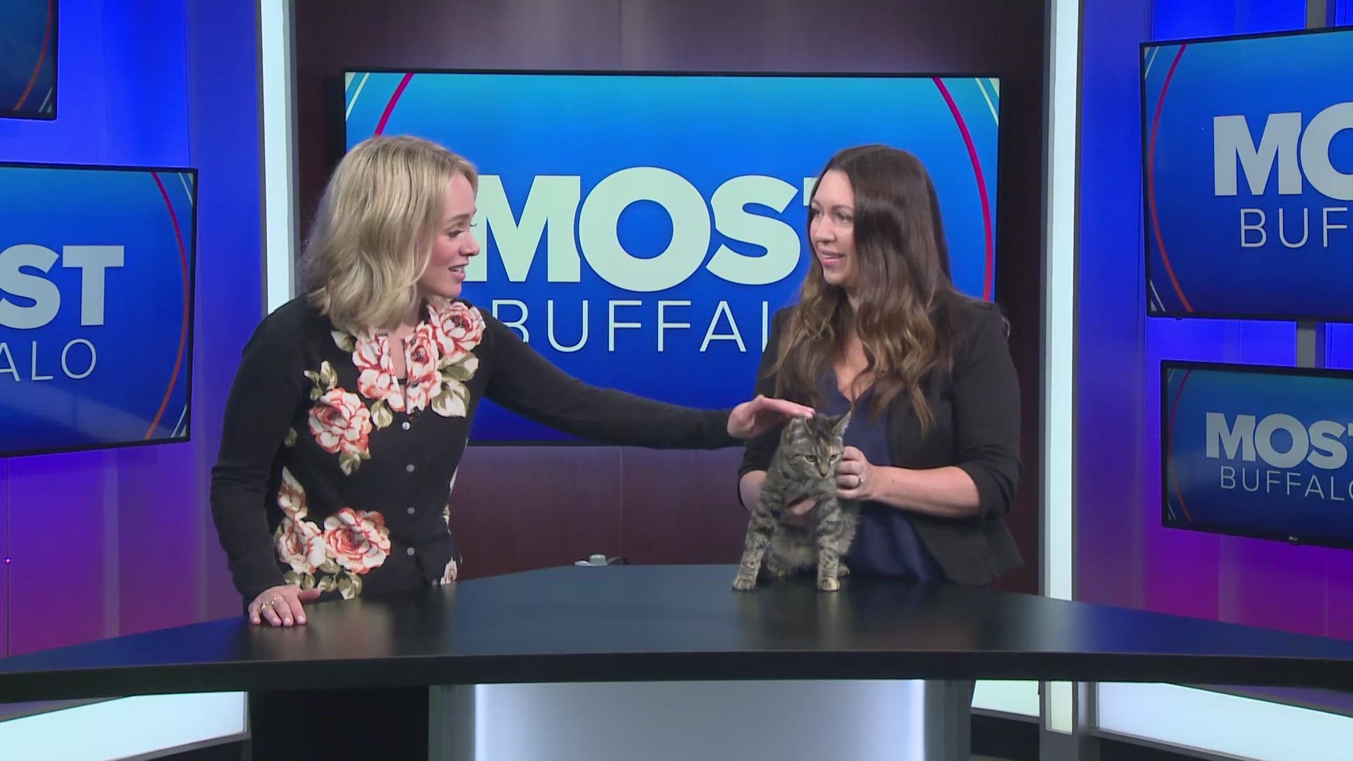 Ten Lives Club visits Most Buffalo studios | wgrz.com