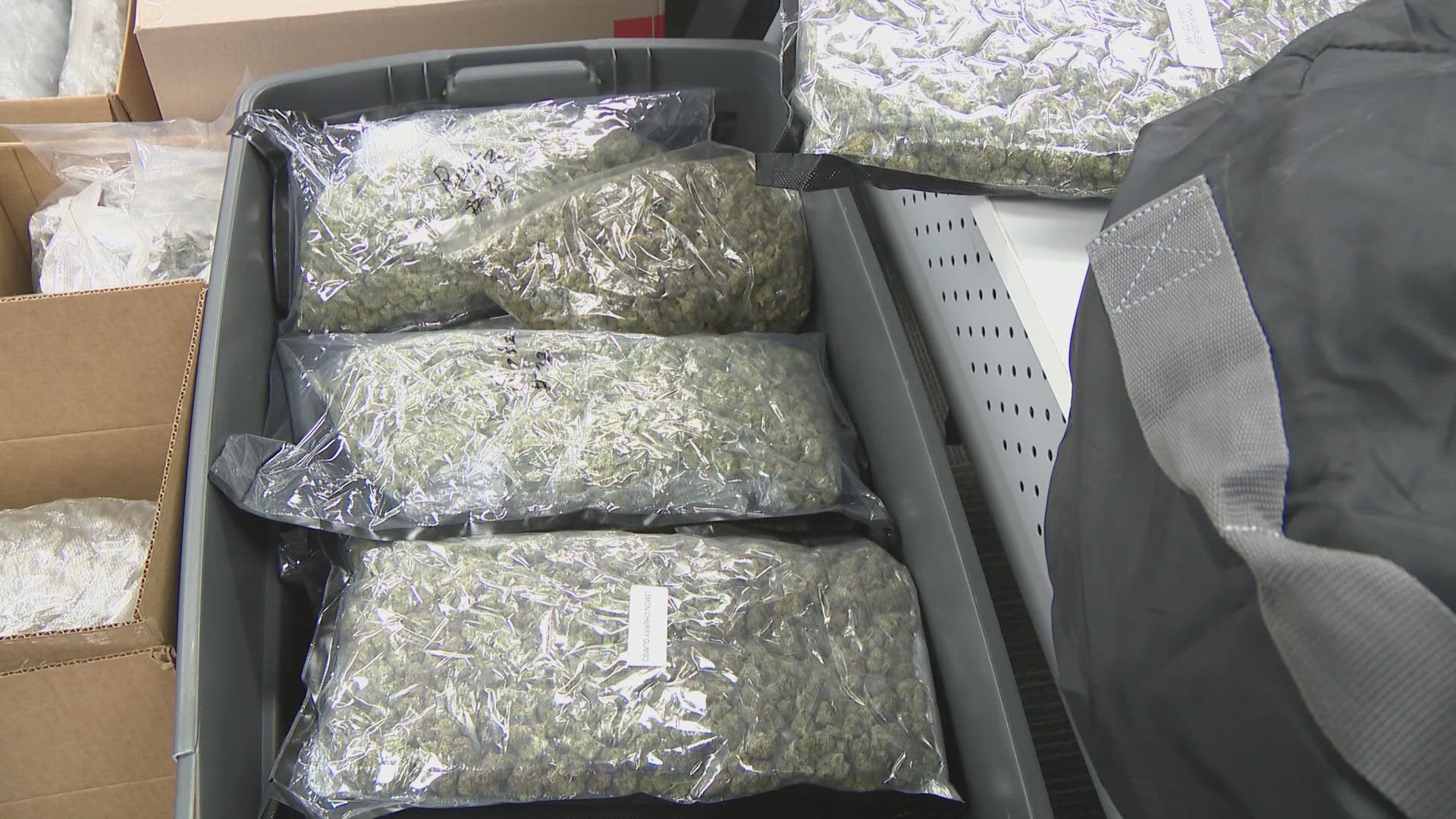 Large drug bust in Buffalo | wgrz.com