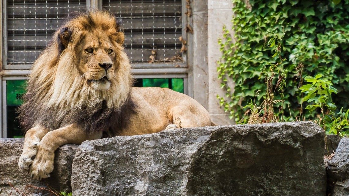National Zoo Lovers Day | wgrz.com