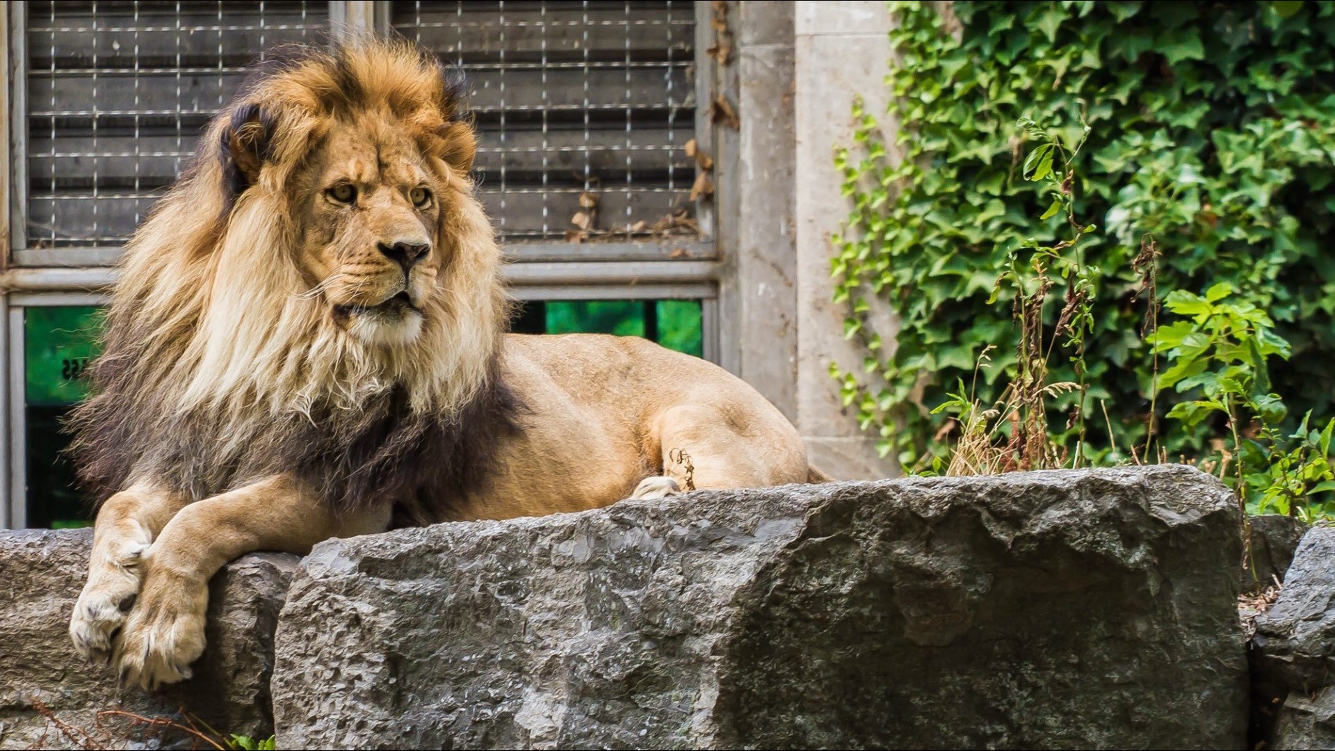 PHOTOS: National Zoo Day | wgrz.com