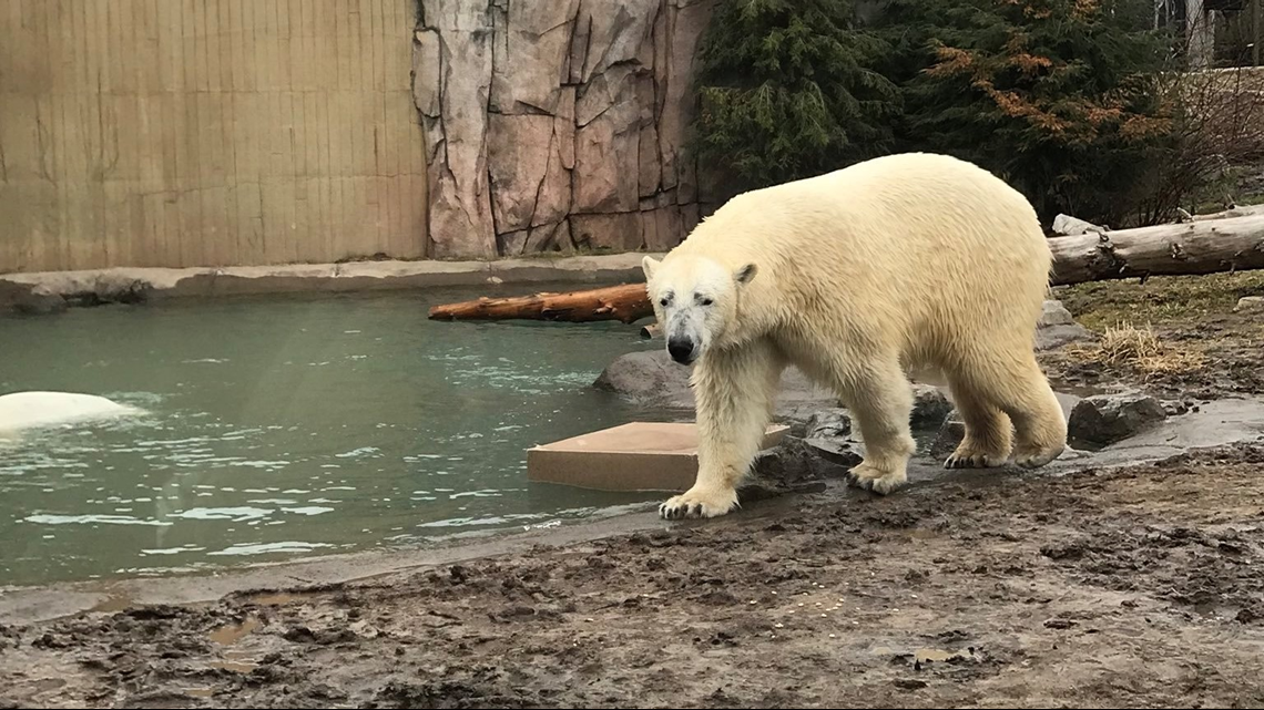 National Zoo Lovers Day | wgrz.com