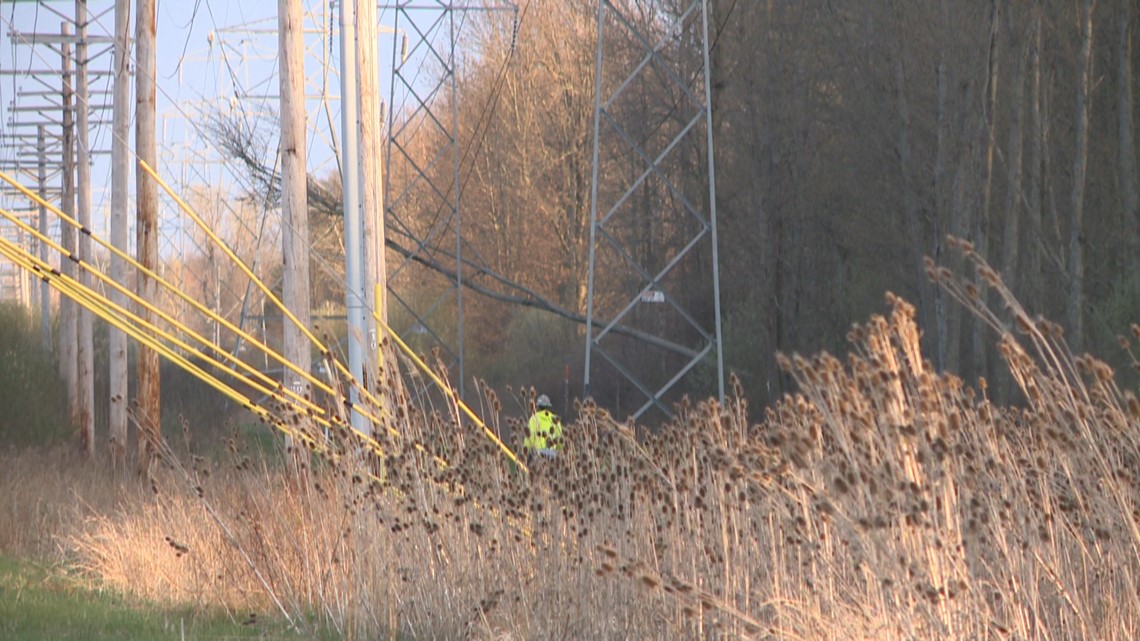 Tree falls on power line, causes widespread outages | wgrz.com