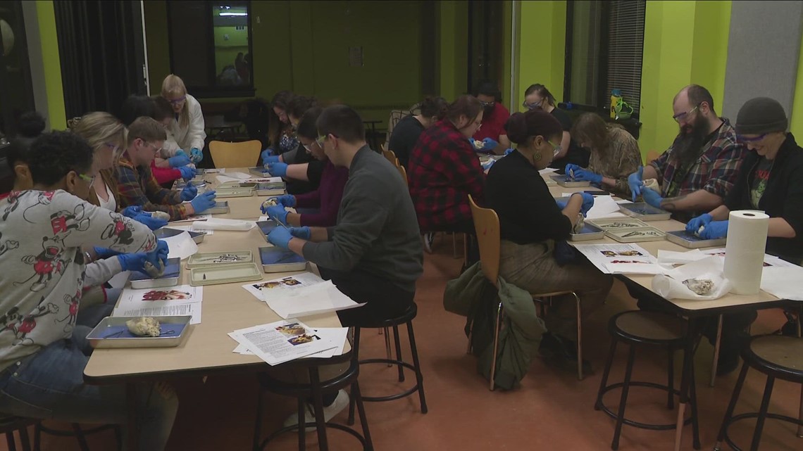 Celebrating Valentine's Day with a Lonely Hearts Dissection | wgrz.com