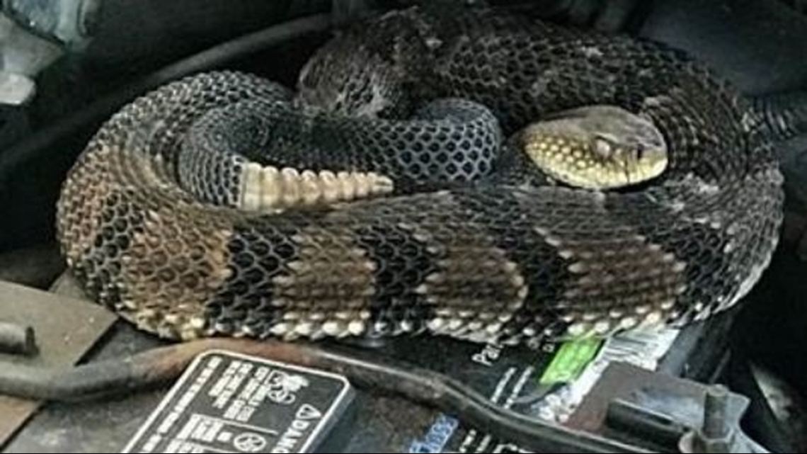 The rattle in the engine was not what this upstate man expected | wgrz.com